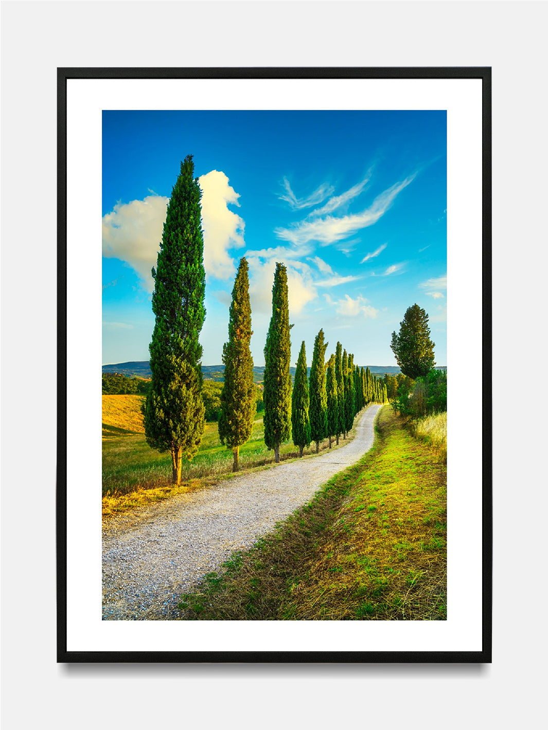 Tuscany Trees – Streck